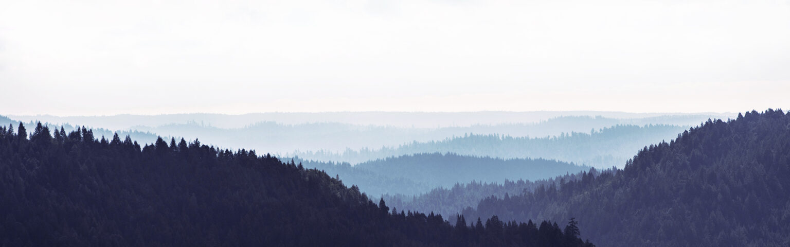 Therapy & Mental Health Services In Northern California