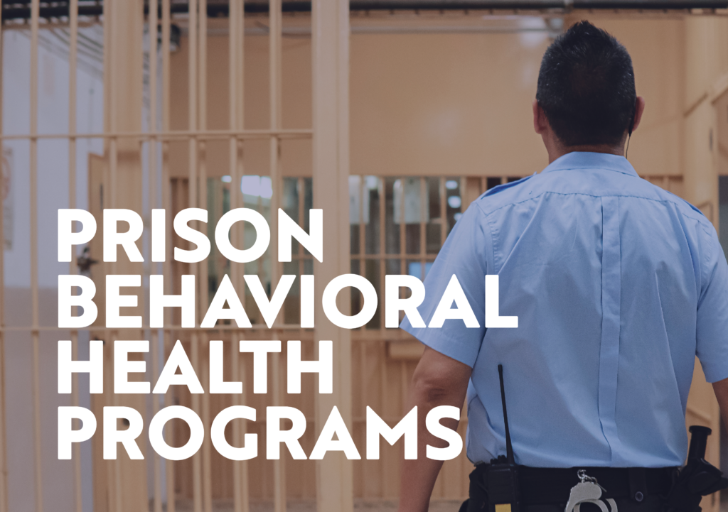 North American Mental Health Services Partnership Program